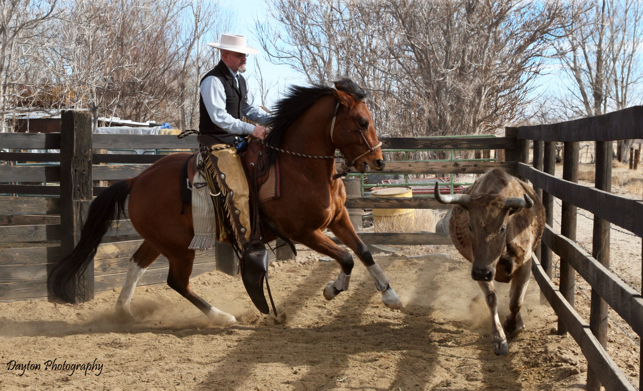 Membership - Jeff Sanders Horsemanship